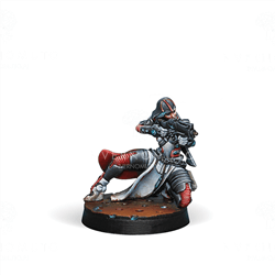 Home [www.dominiox.com]